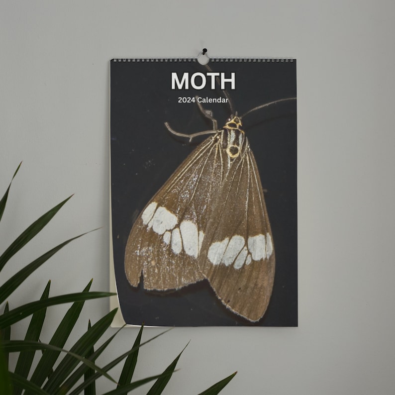 Moth Wall Calendar 2024 - Etsy
