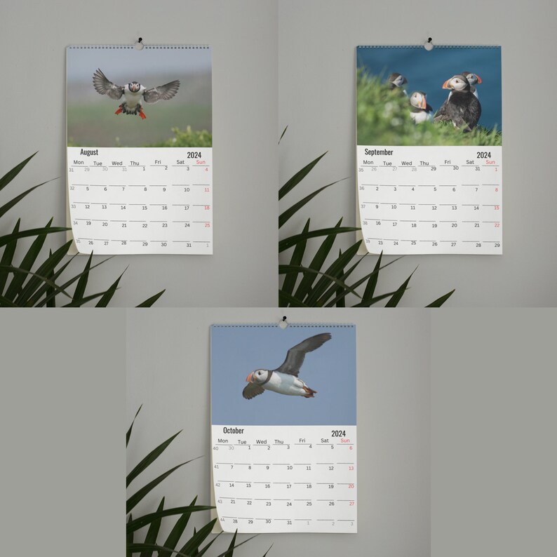 Puffin Wall Calendar 2024 - Etsy