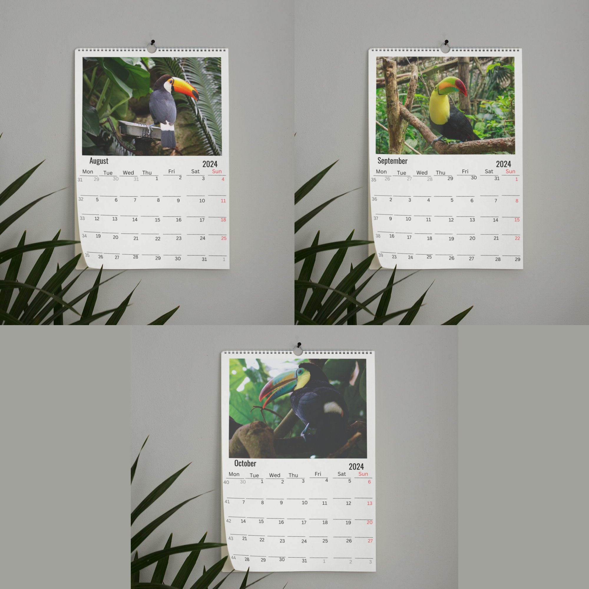 Toucan Wall Calendar 2024 - Etsy