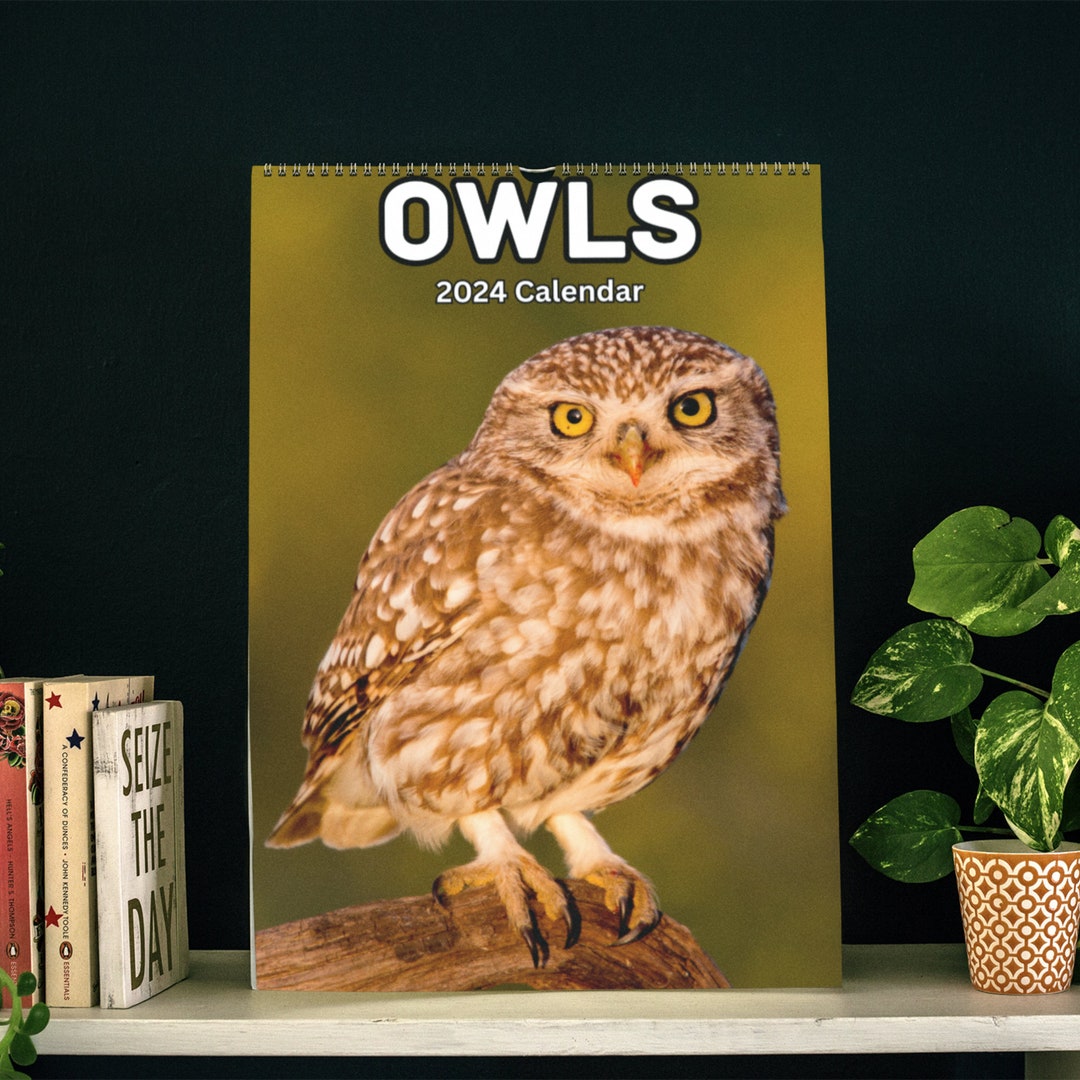 Owls Wall Calendar 2024 - Etsy