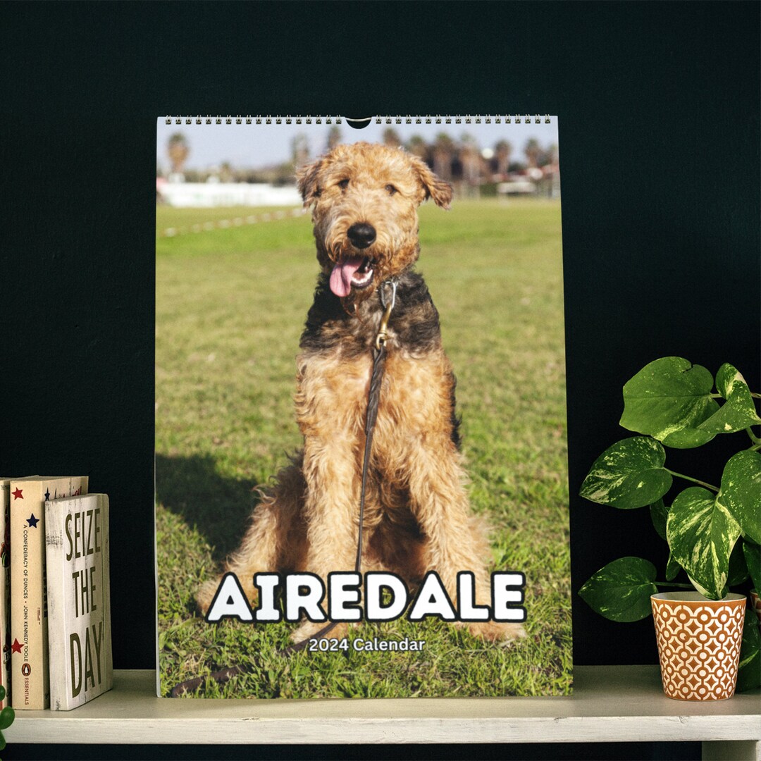 Airedale Wall Calendar 2024 - Etsy