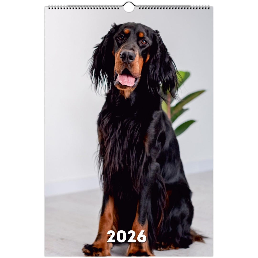 Gordon Setter Wall Calendar 2026 - Etsy
