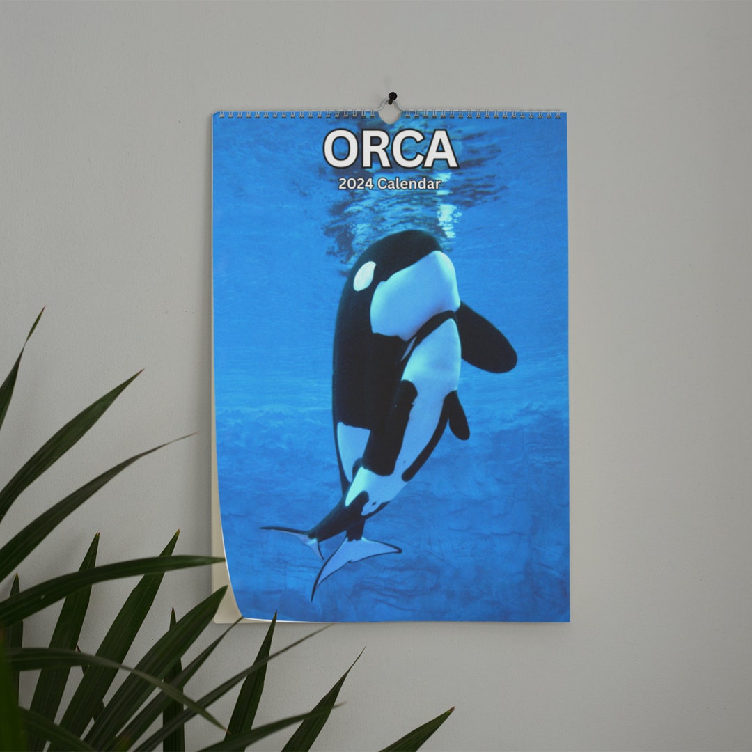 Orca Wall Calendar 2024 - Etsy