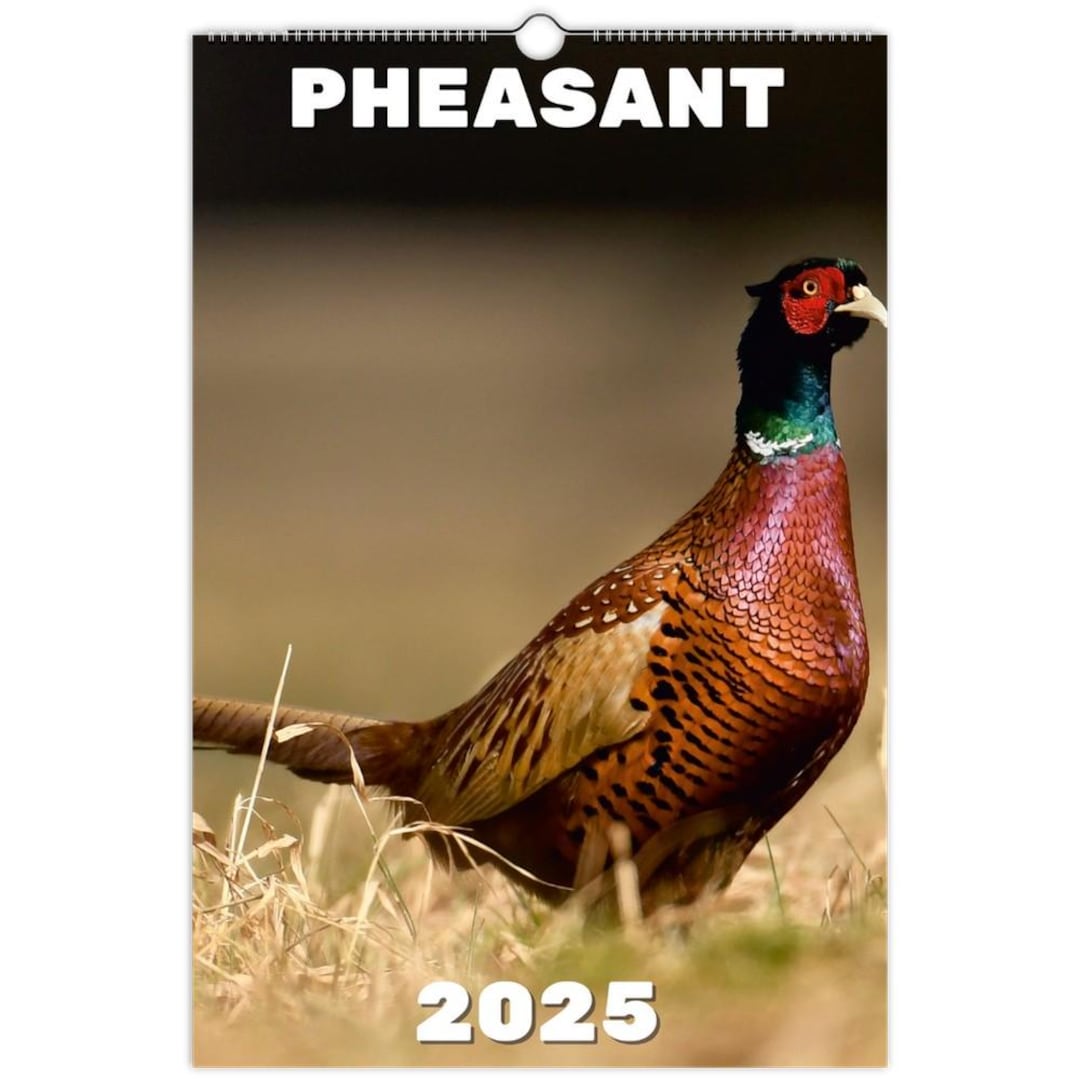 Pheasant Wall Calendar 2025 - Etsy