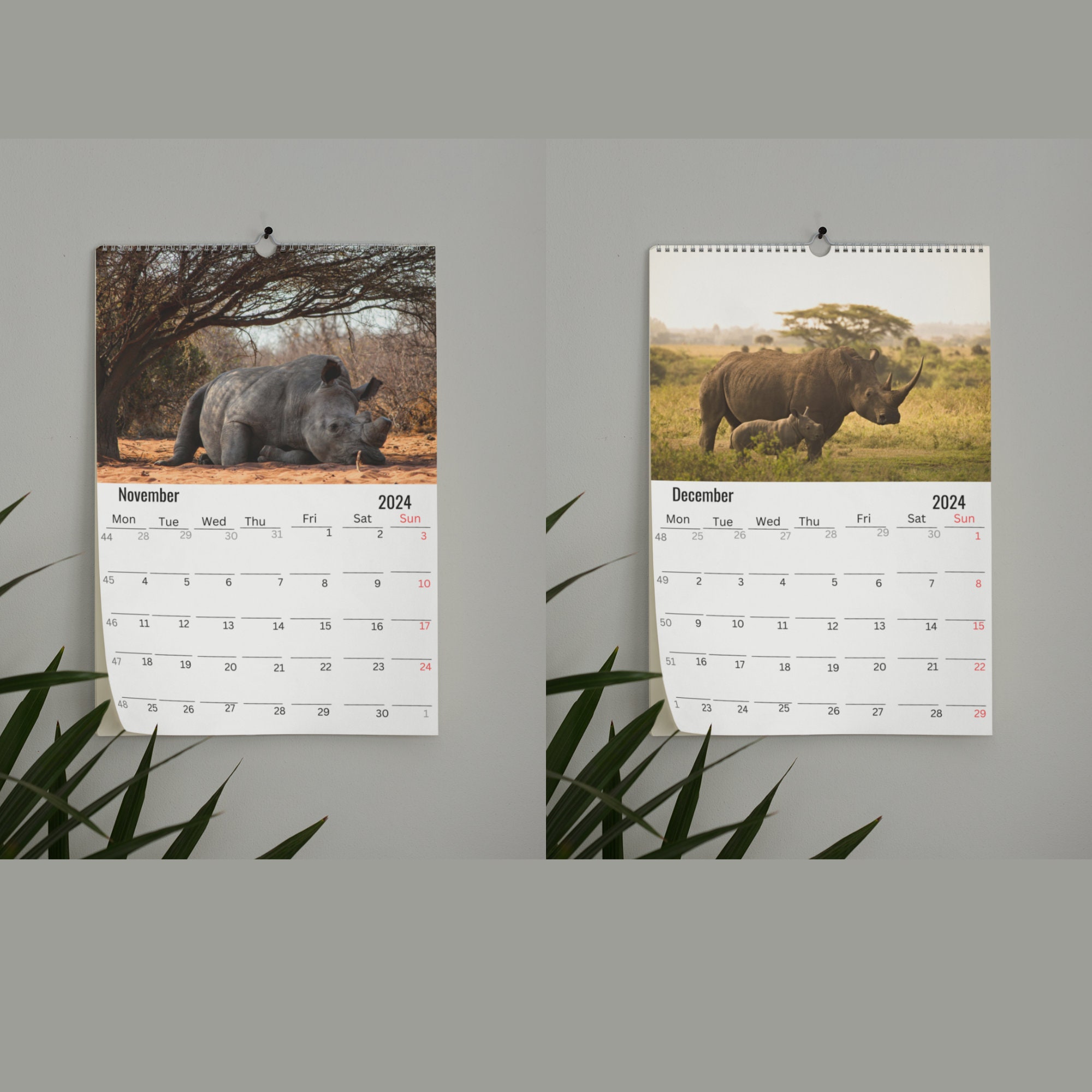 Rhinoceros Wall Calendar 2024 - Etsy