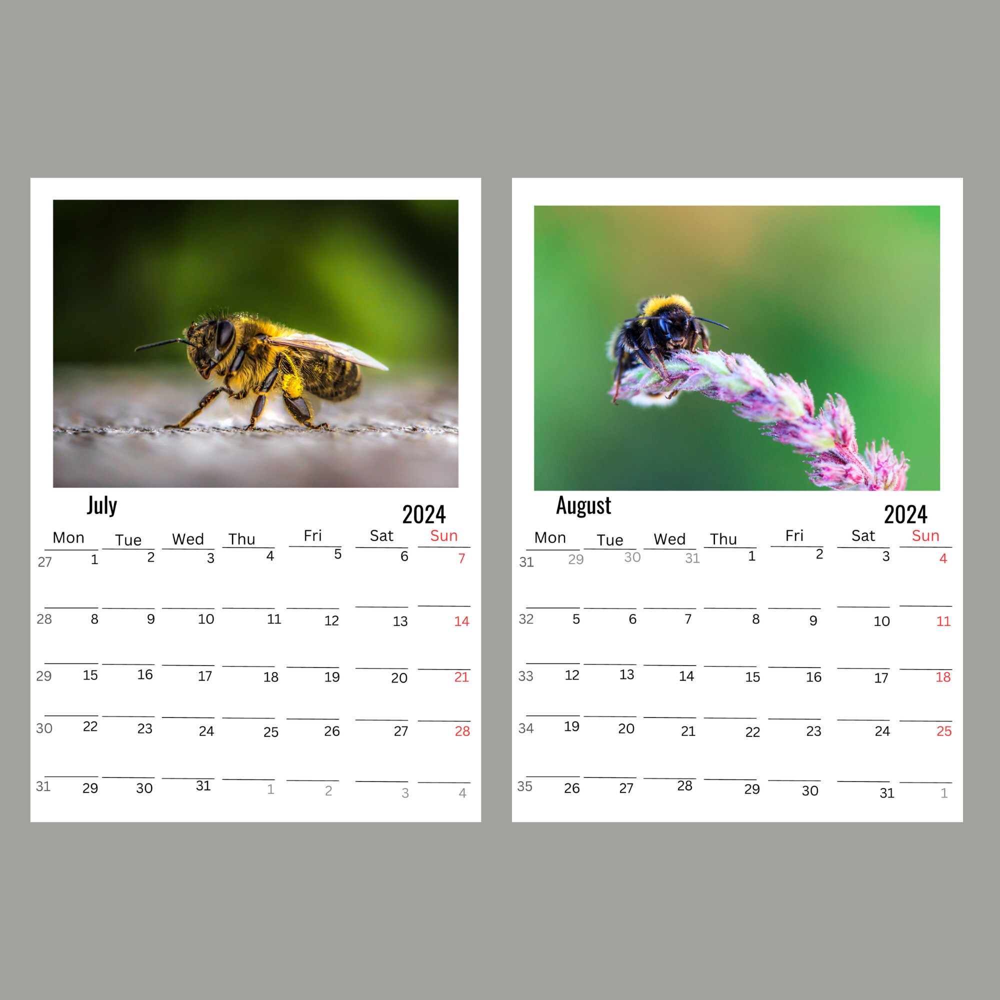 Bee Wall Calendar 2024 - Etsy