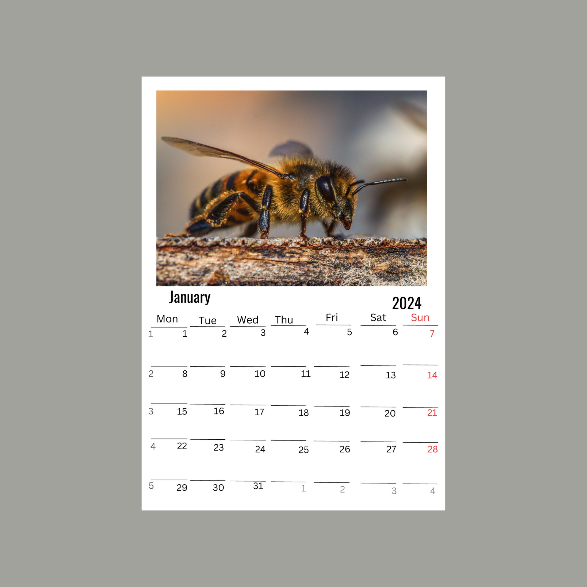 Bee Wall Calendar 2024 - Etsy