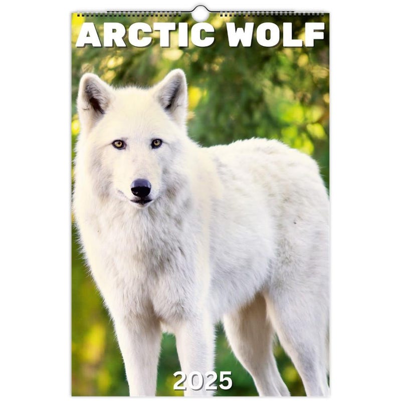 Arctic Wolf - Etsy