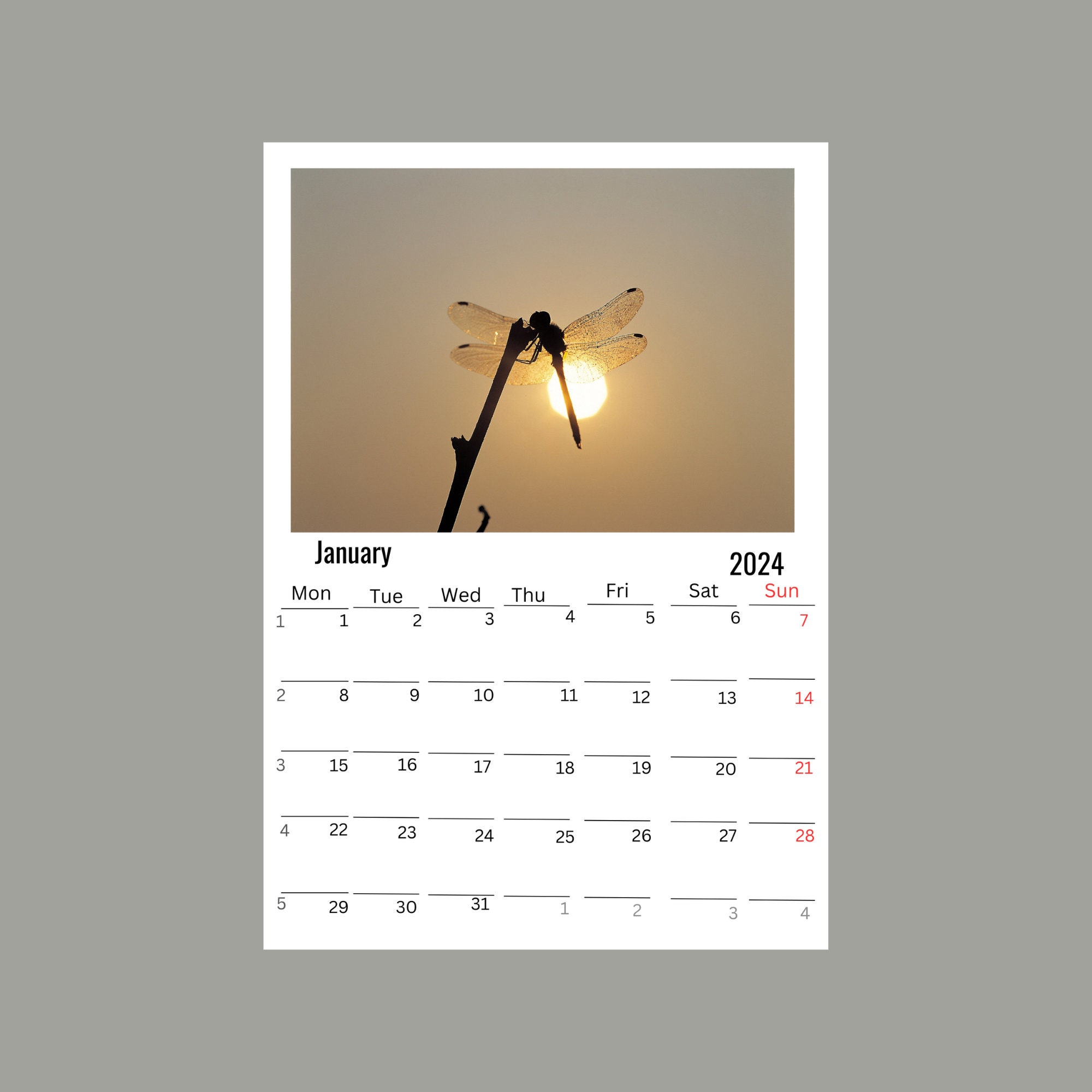 Dragonfly Wall Calendar 2024 - Etsy
