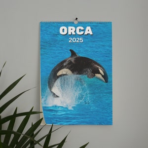 Orca Wall Calendar 2025 - Etsy