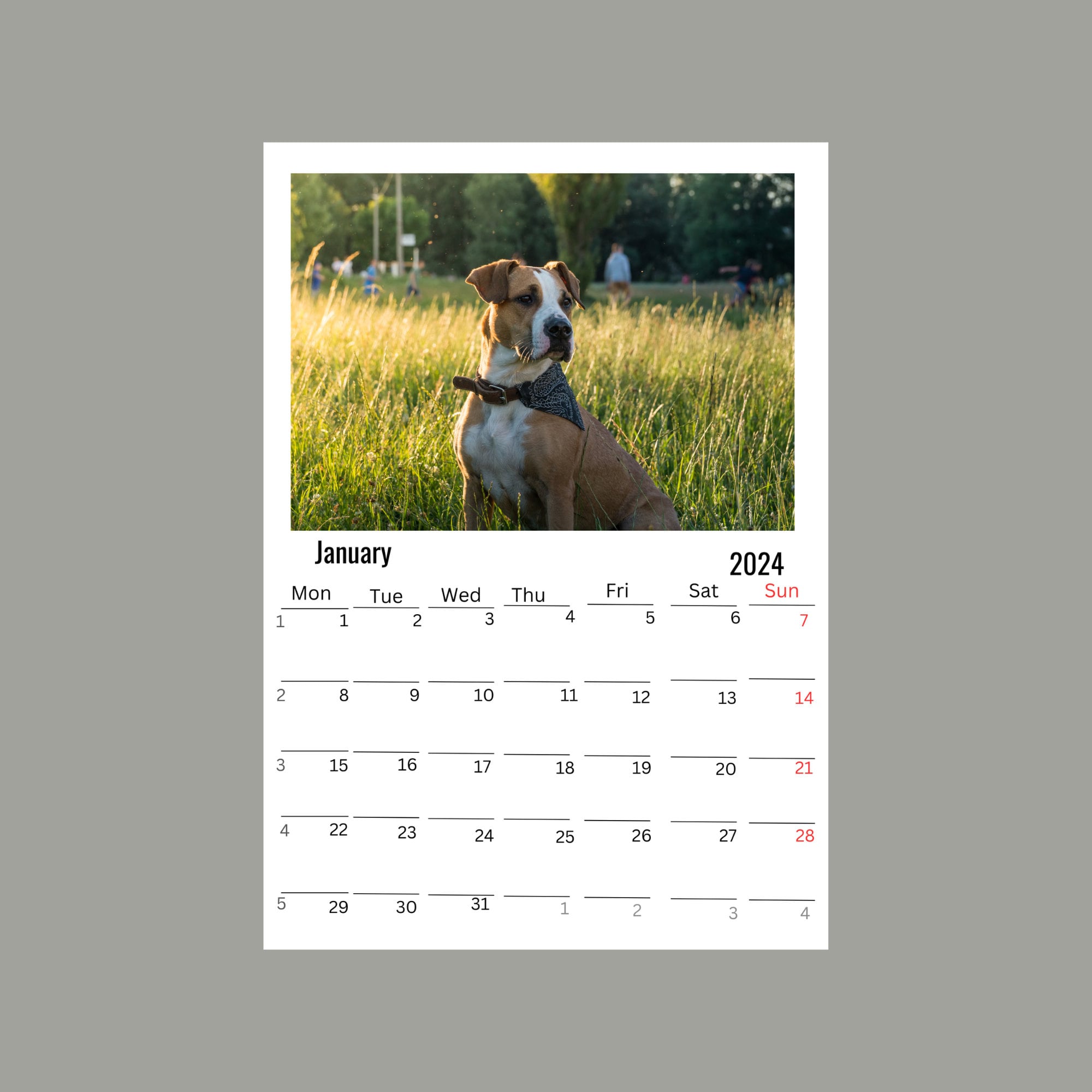 Bull Arab Wall Calendar 2024 - Etsy