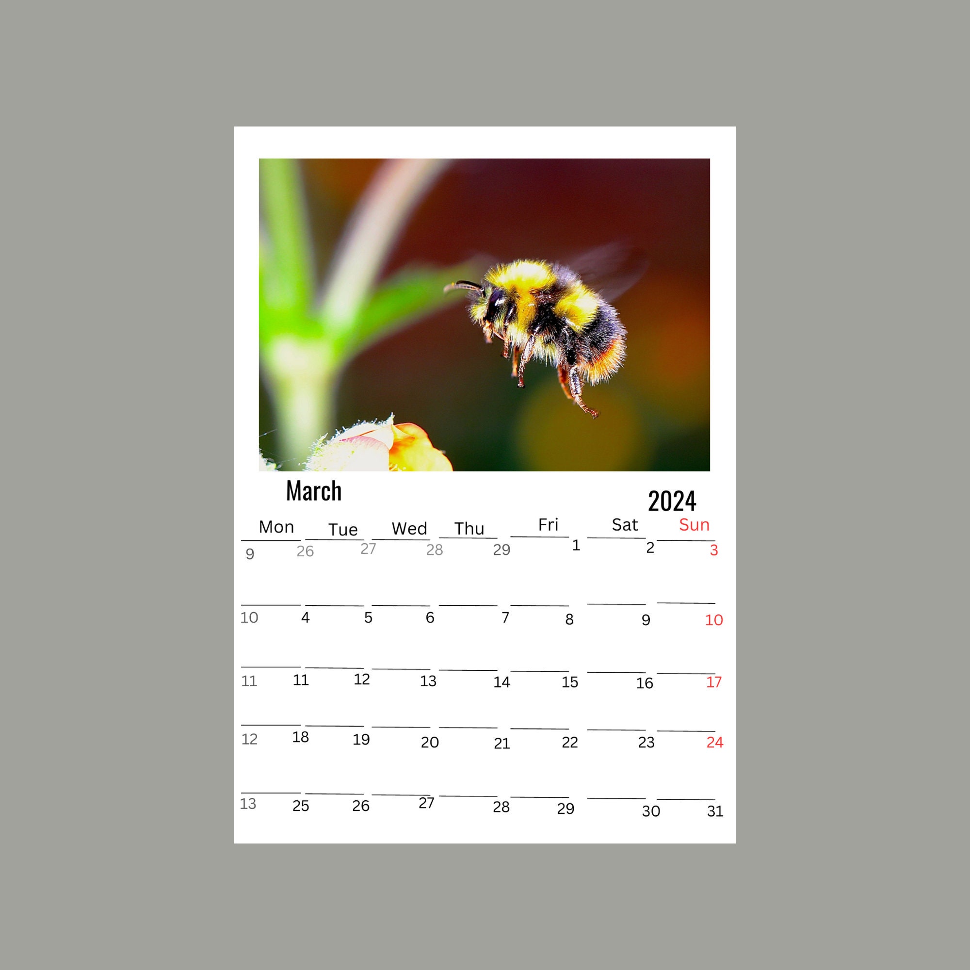 Bee Wall Calendar 2024 - Etsy