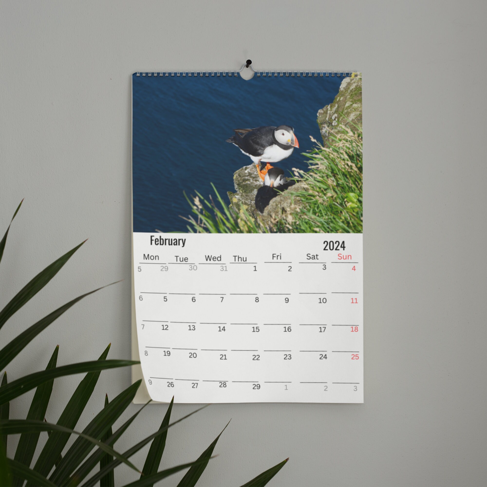 Puffin Wall Calendar 2024 - Etsy