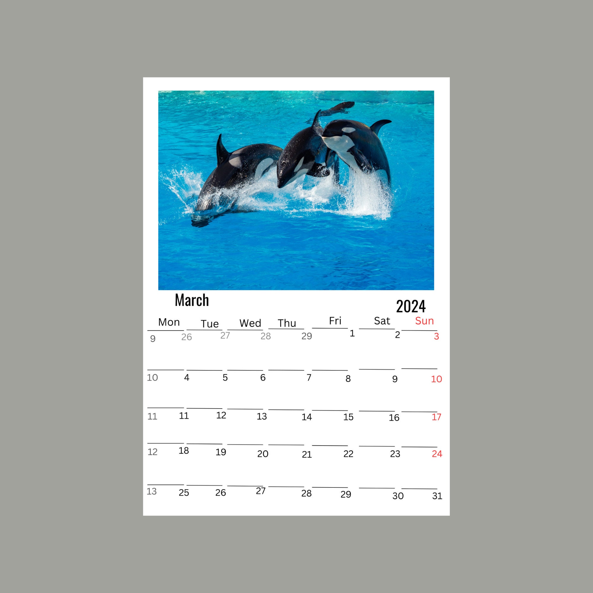 Orca Wall Calendar 2024 - Etsy