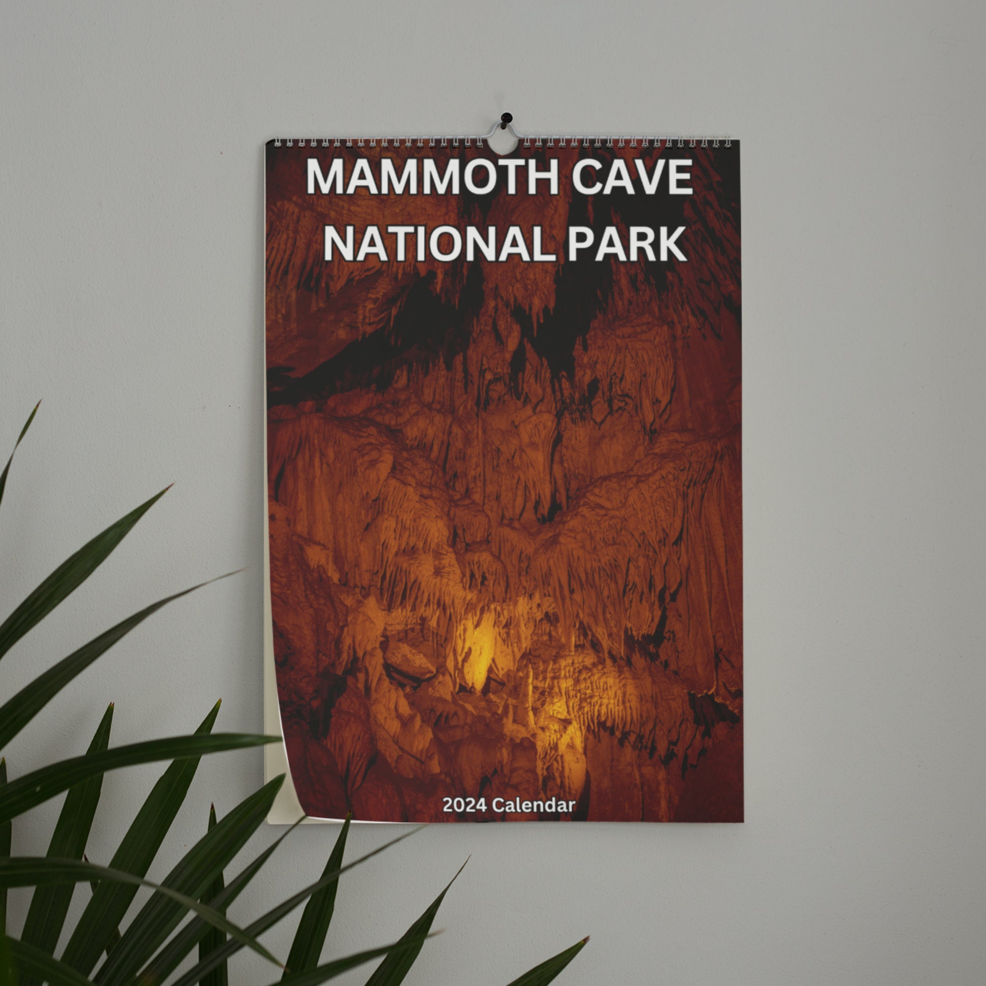 Mammoth Cave National Wall Calendar 2024 - Etsy