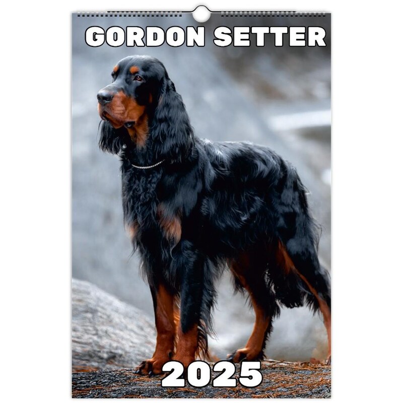 Gordon Setter - Etsy