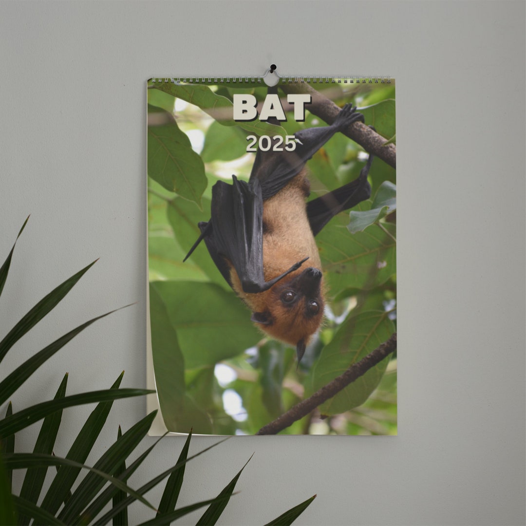 Bat Wall Calendar 2025 - Etsy