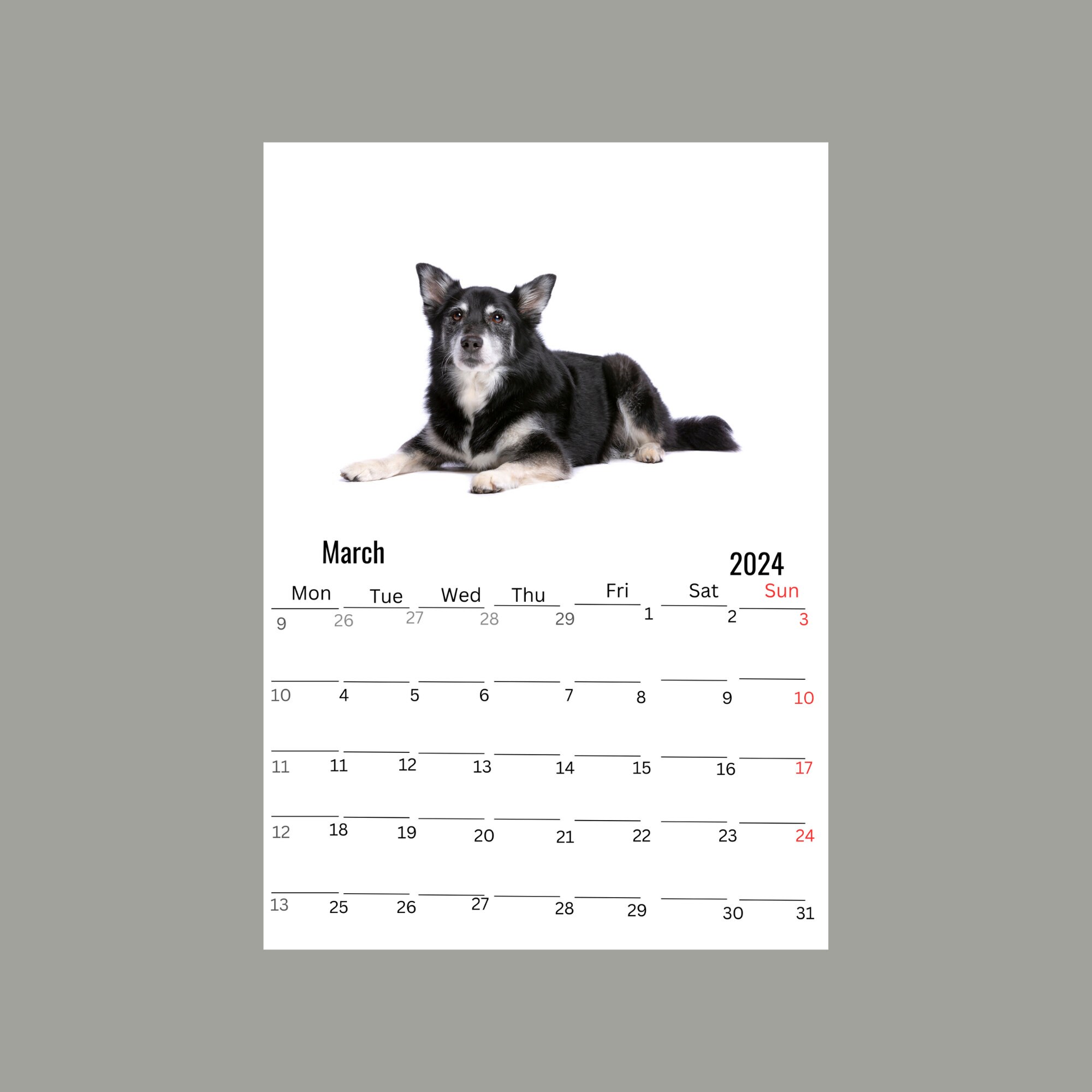 Australian Kelpie Wall Calendar 2024 - Etsy