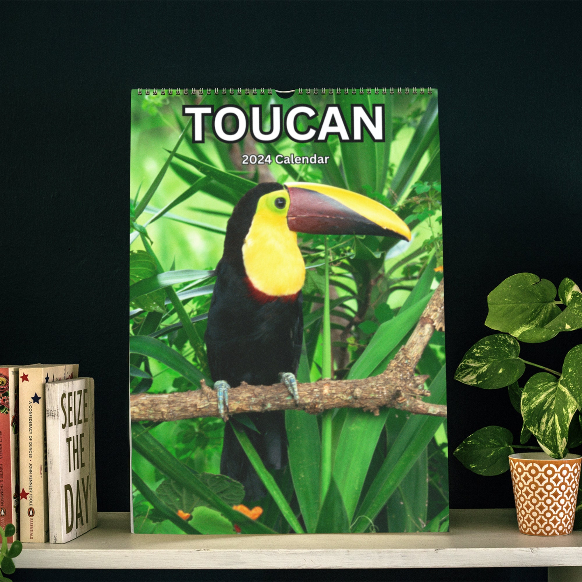 Toucan Wall Calendar 2024 - Etsy