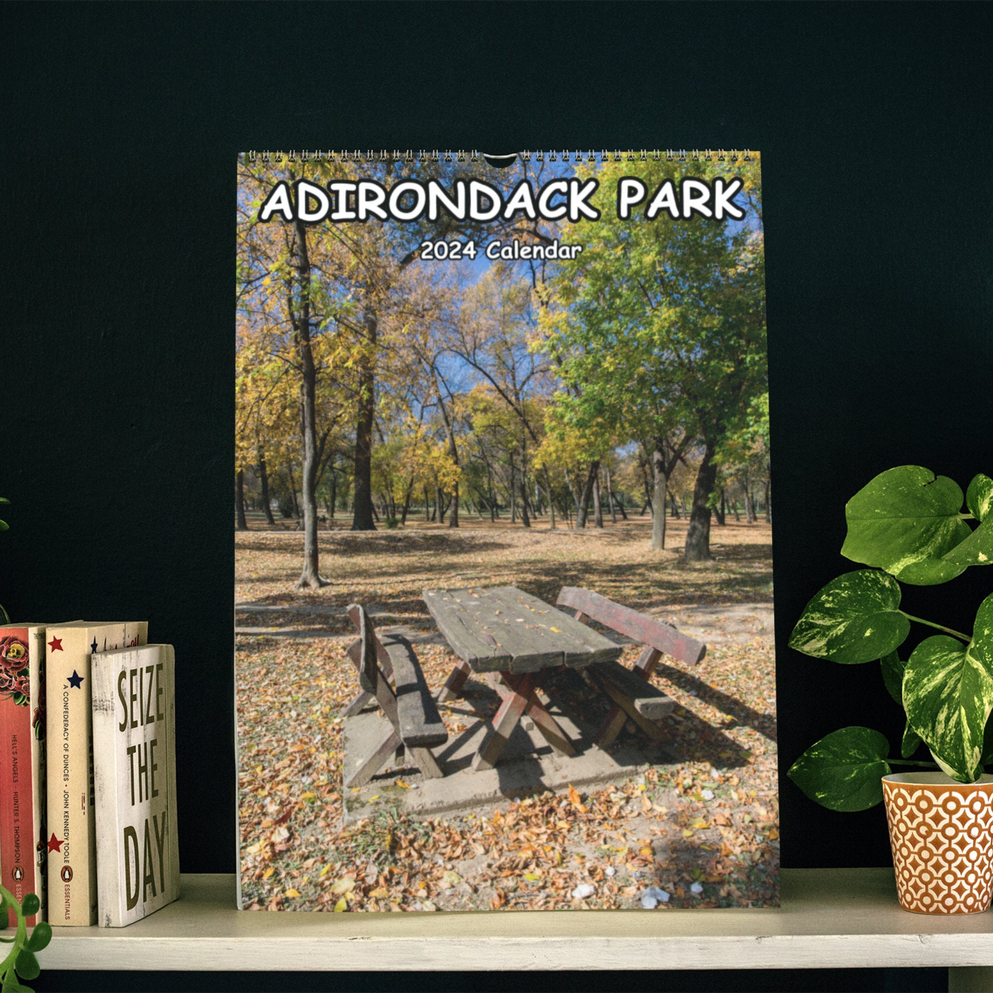 Adirondack Life Calendar 2024 - Gayle Allyson Adirondack Life Calendar 2024 - Gayle Allyson
