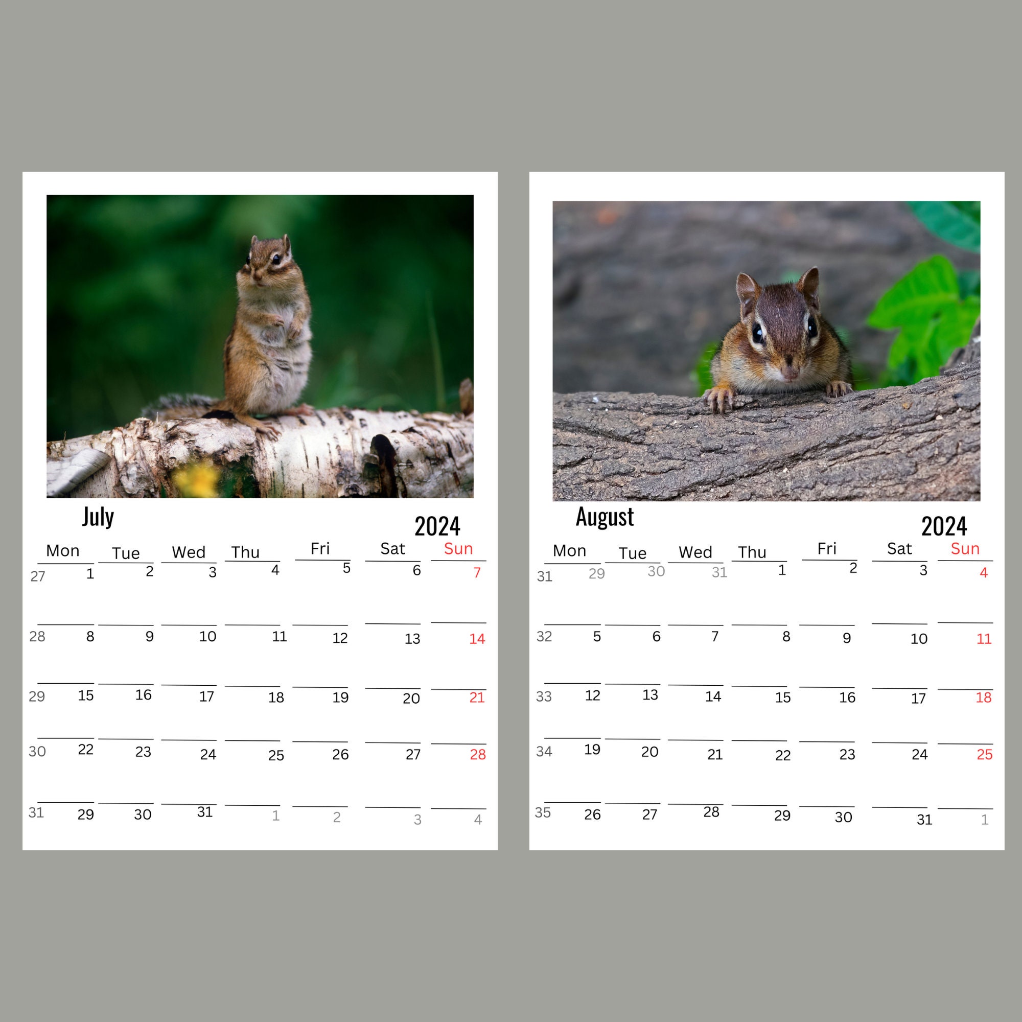 Chipmunks Wall Calendar 2024 - Etsy