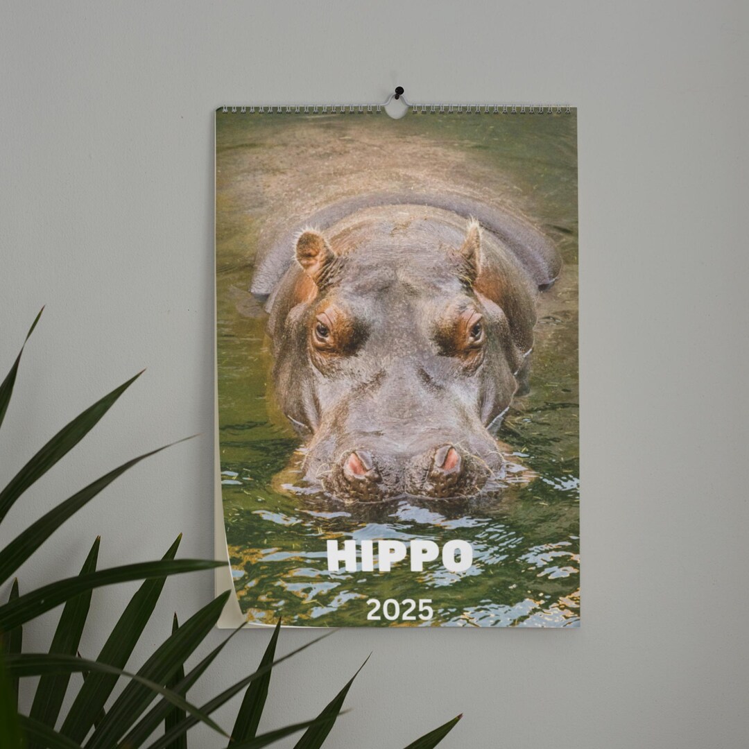 Hippo Wall Calendar 2025 - Etsy