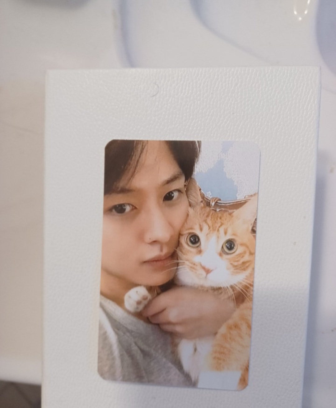 Stray Kids Lee Know Photocard - Etsy