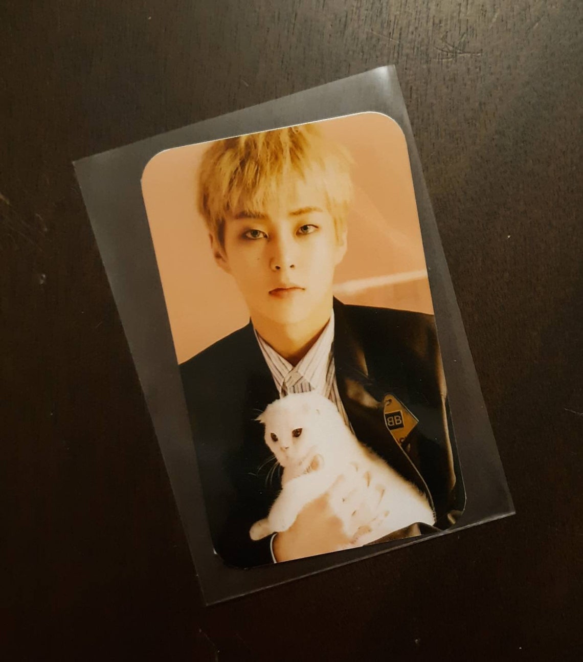 EXO Fanmade Photocards 3.5x2in - Etsy