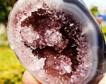 Mexican Coconut Geode | Etsy