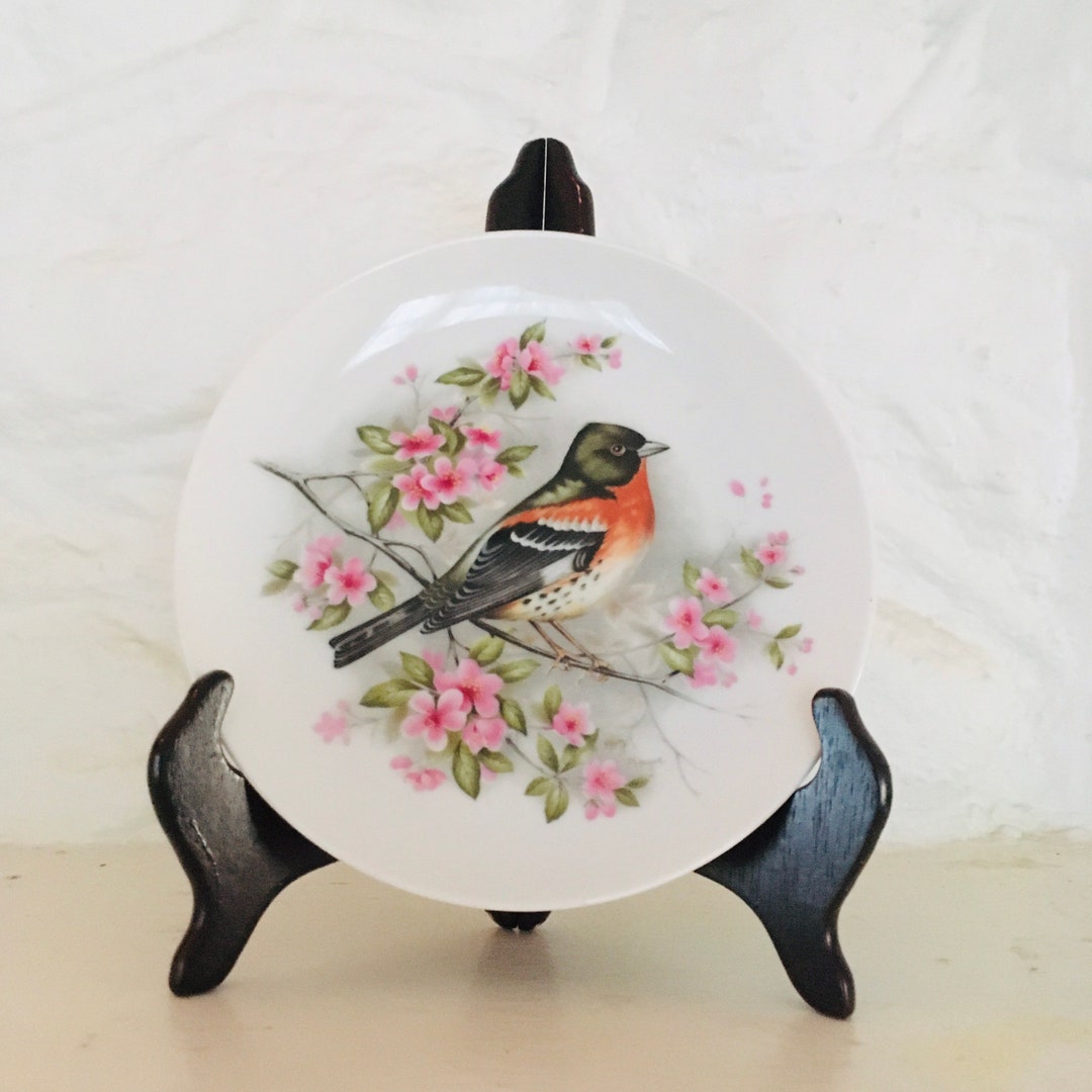 Porcelain Kaiser Bird Plate, Bird and Pink Flower Plate - Etsy
