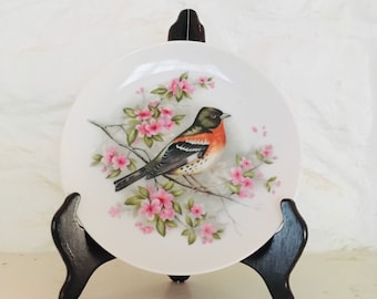 Kaiser Bird Plate - Etsy