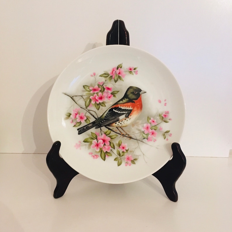 Porcelain Kaiser Bird Plate Bird and Pink Flower Plate | Etsy