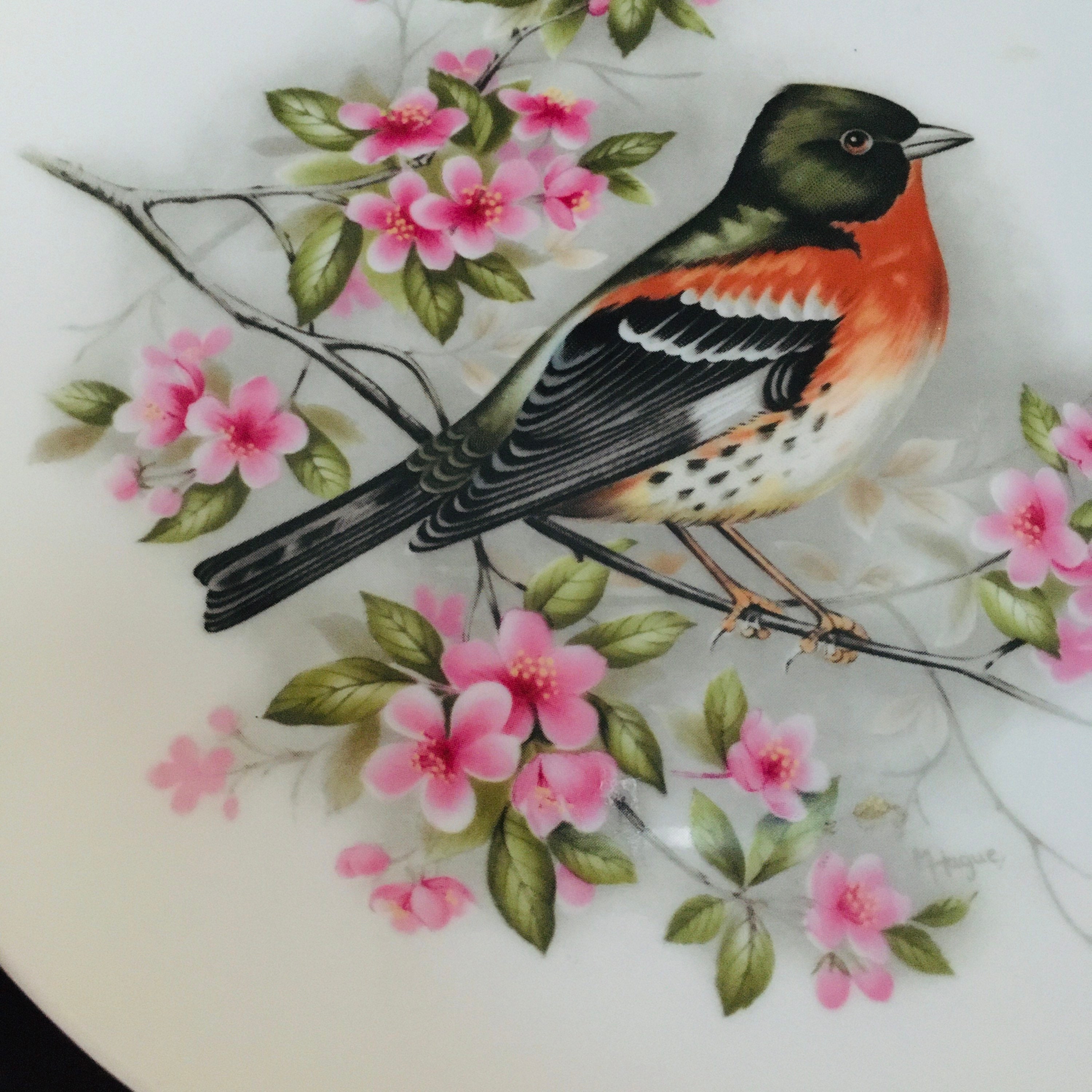 Porcelain Kaiser Bird Plate Bird and Pink Flower Plate - Etsy