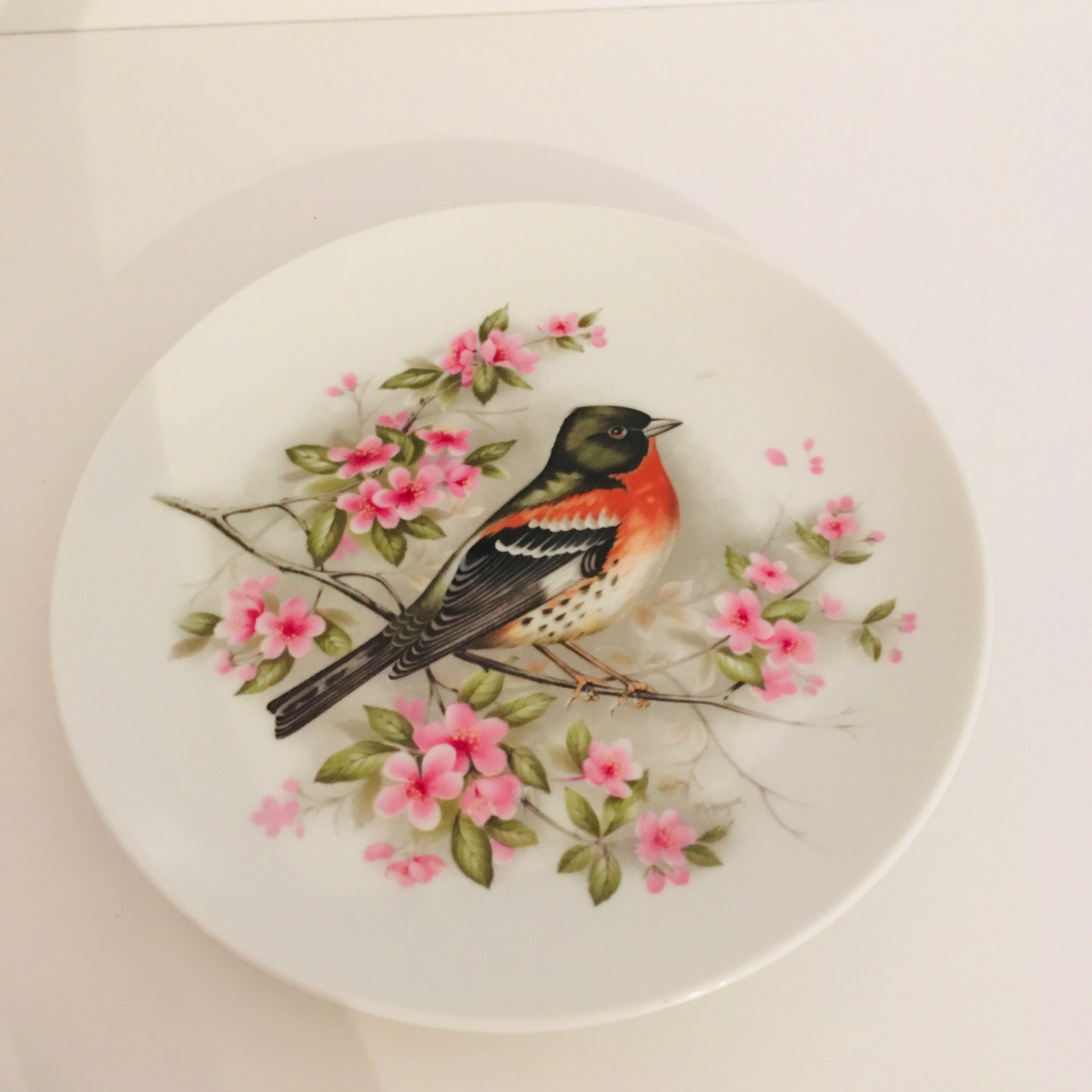 Porcelain Kaiser Bird Plate Bird and Pink Flower Plate - Etsy
