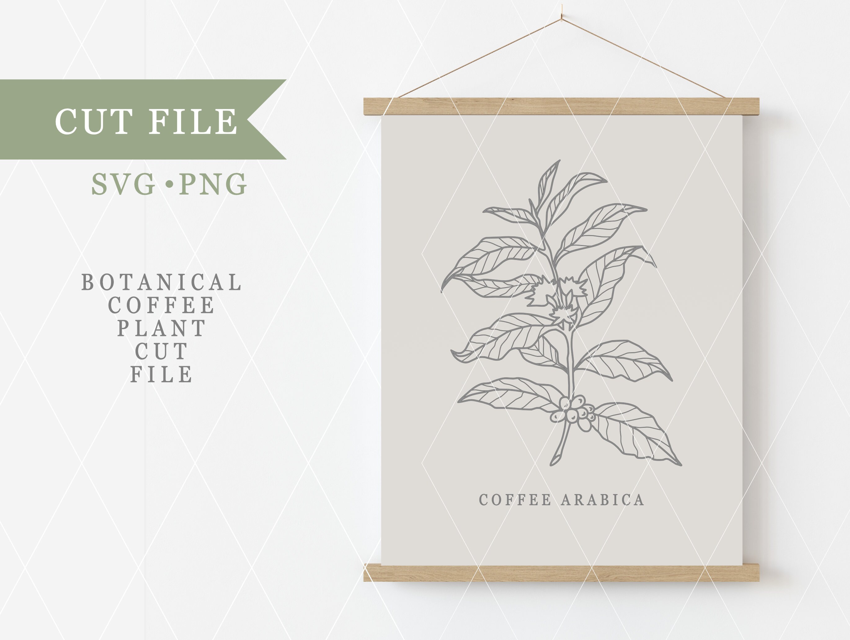 Coffee SVG File Botany SVG File Plant SVG File Vector - Etsy
