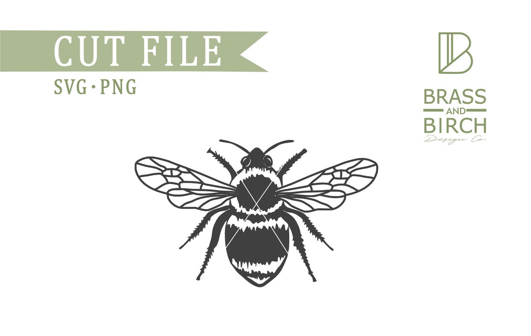 Bumblebee SVG File Bee SVG File Spring Vector Cricut - Etsy Canada