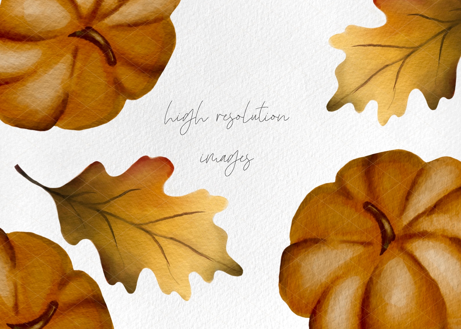 Fall Clip Art Watercolor Clip Art Clip Art Autumn Clip - Etsy