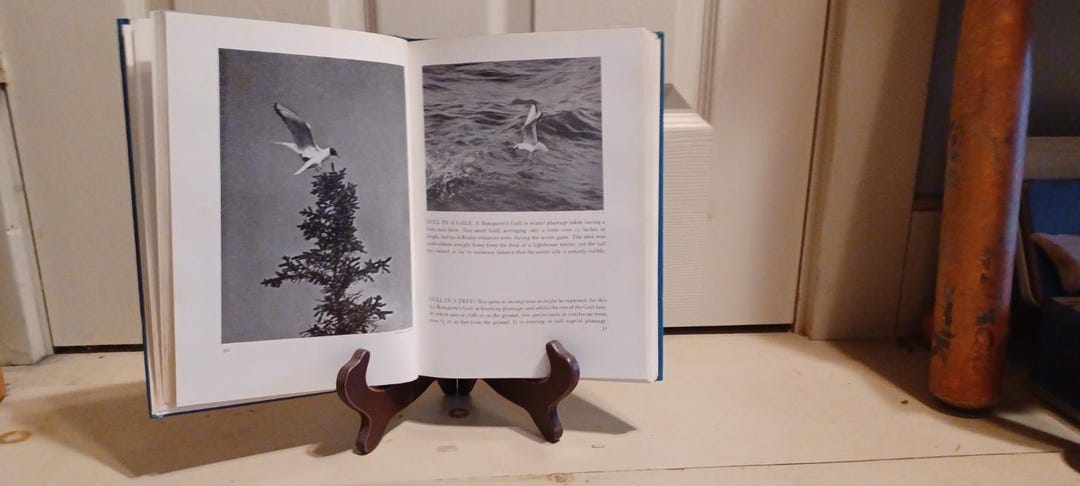 Bird Flight, Written & Designed by Gordon C. Aymar, Blue Cloth ...