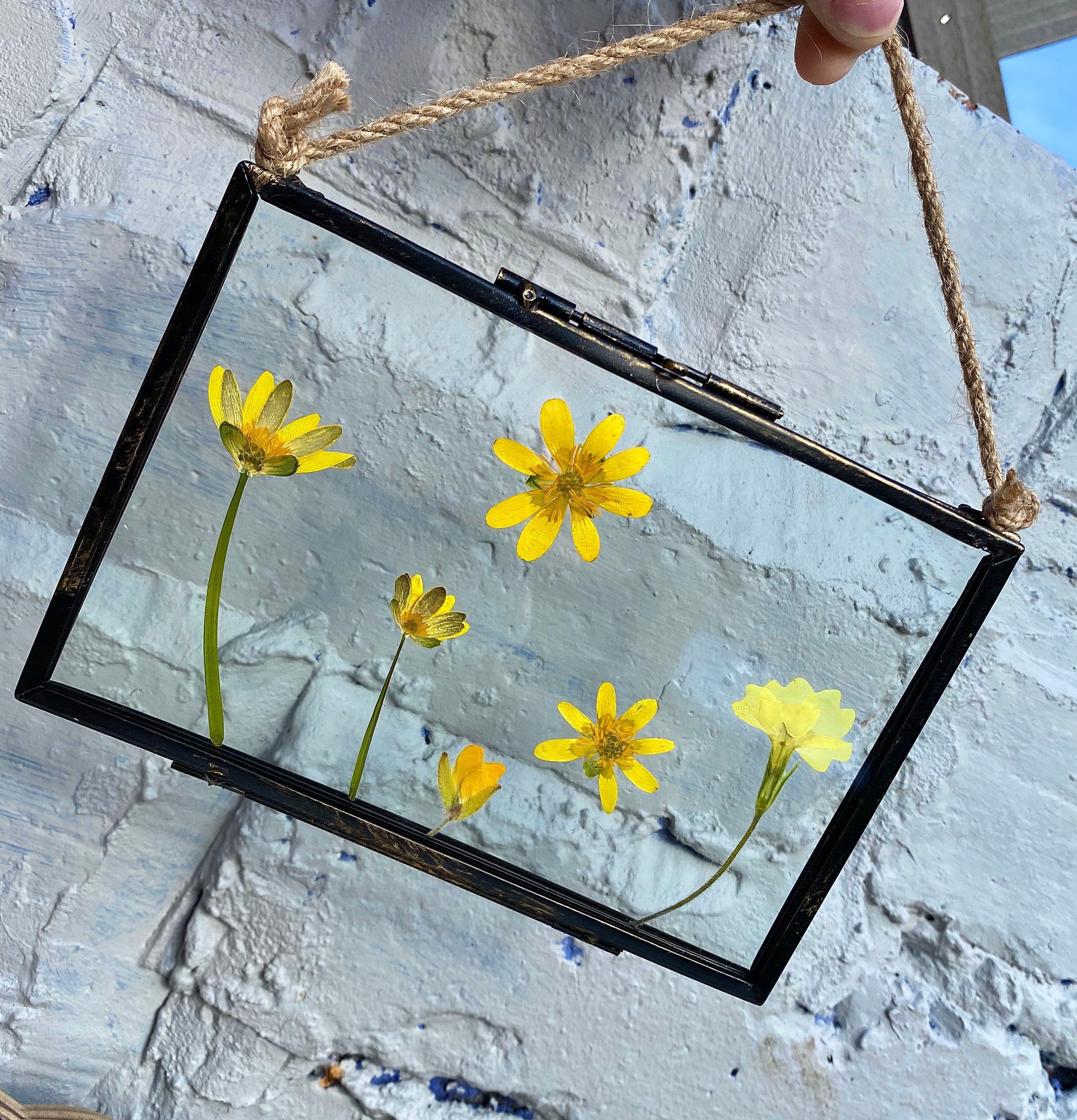Hand Pressed Real Flower Hanging Glass Frames - Etsy