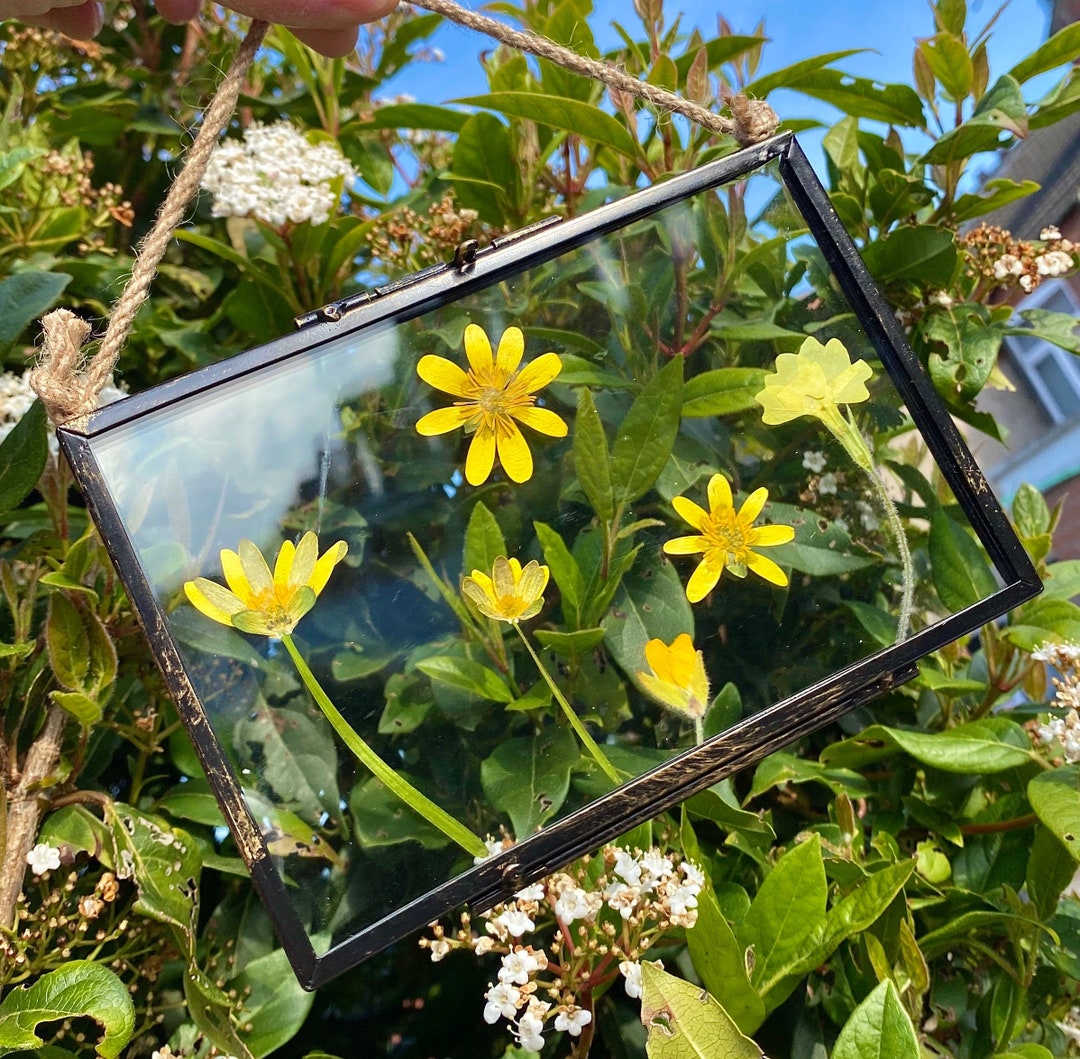 Hand Pressed Real Flower Hanging Glass Frames - Etsy