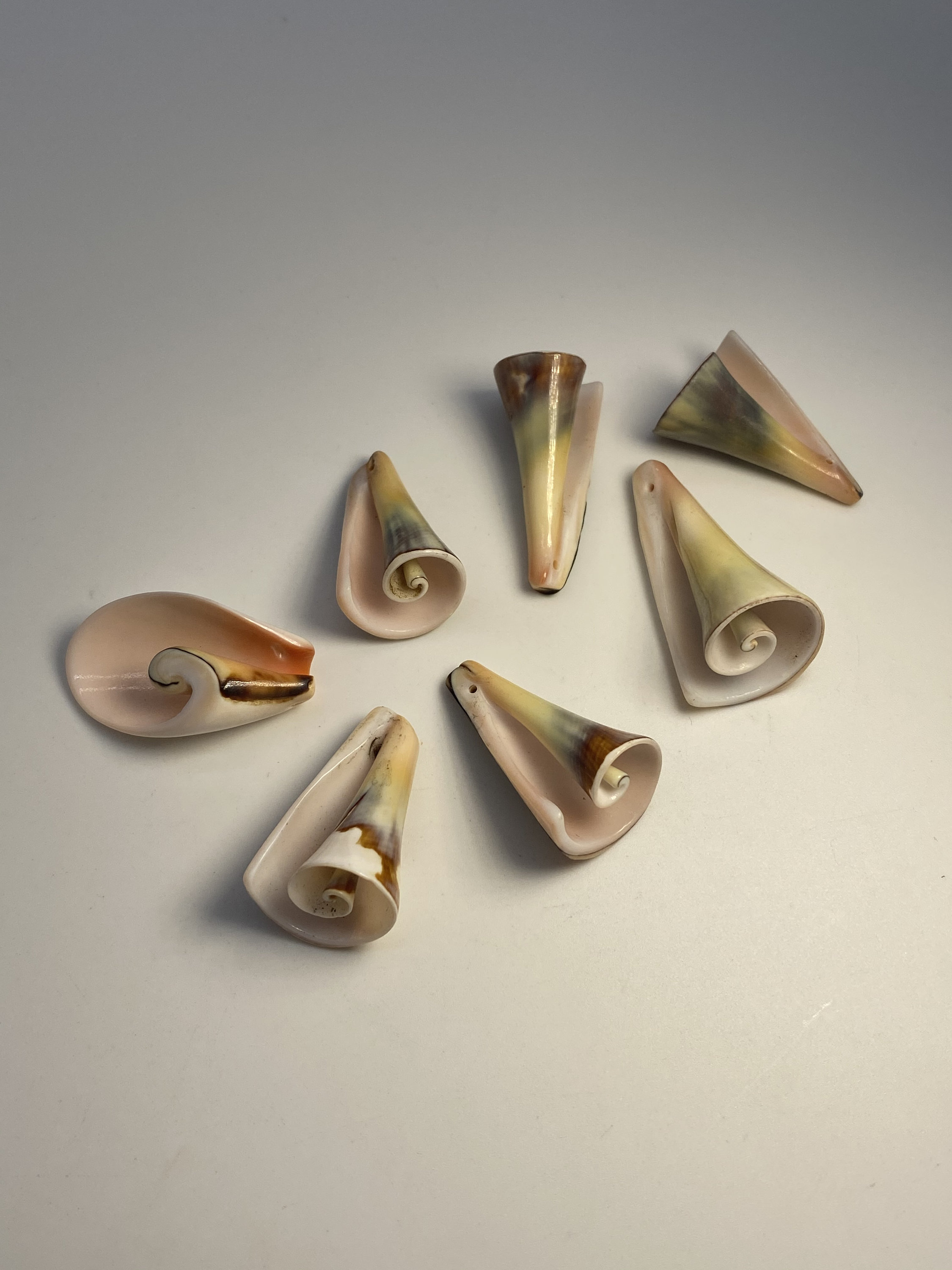 Beautiful Polished Shell Beads From the Philippines. 4 Pieces - Etsy