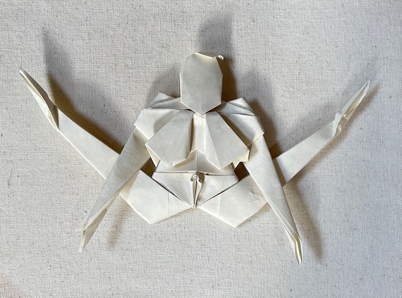 ART Anatomical Origami Female by Jon Nari - Etsy