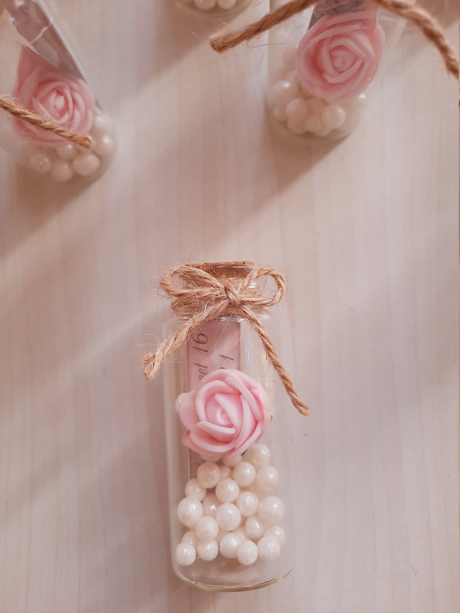 10 Pcs Wedding Favors for Guests, Rose Dome, Belle Favors, Glass Dome ...