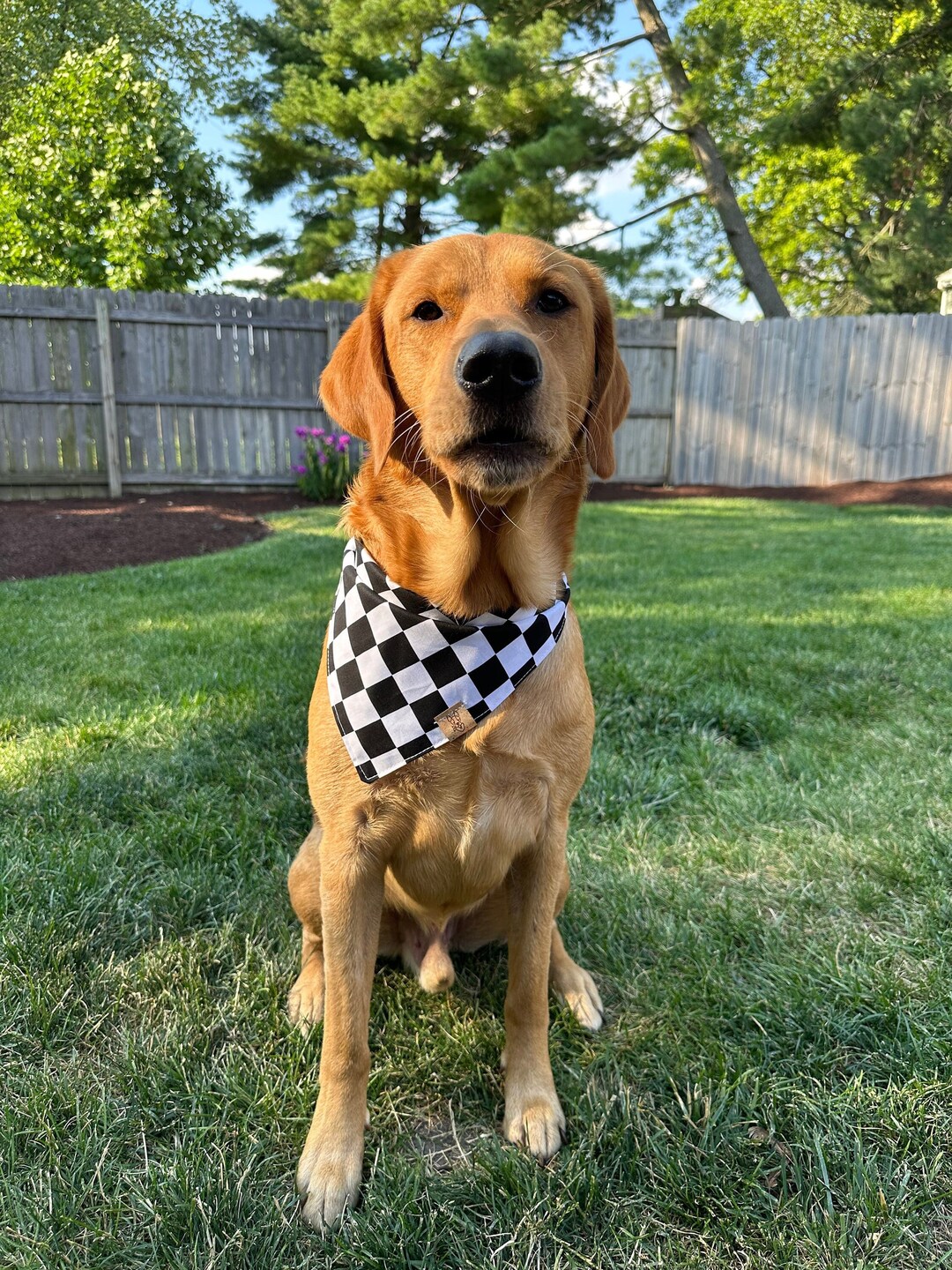 Black & White Checkered Dog Bandana - Retro Dog Bandana - Dog Birthday ...