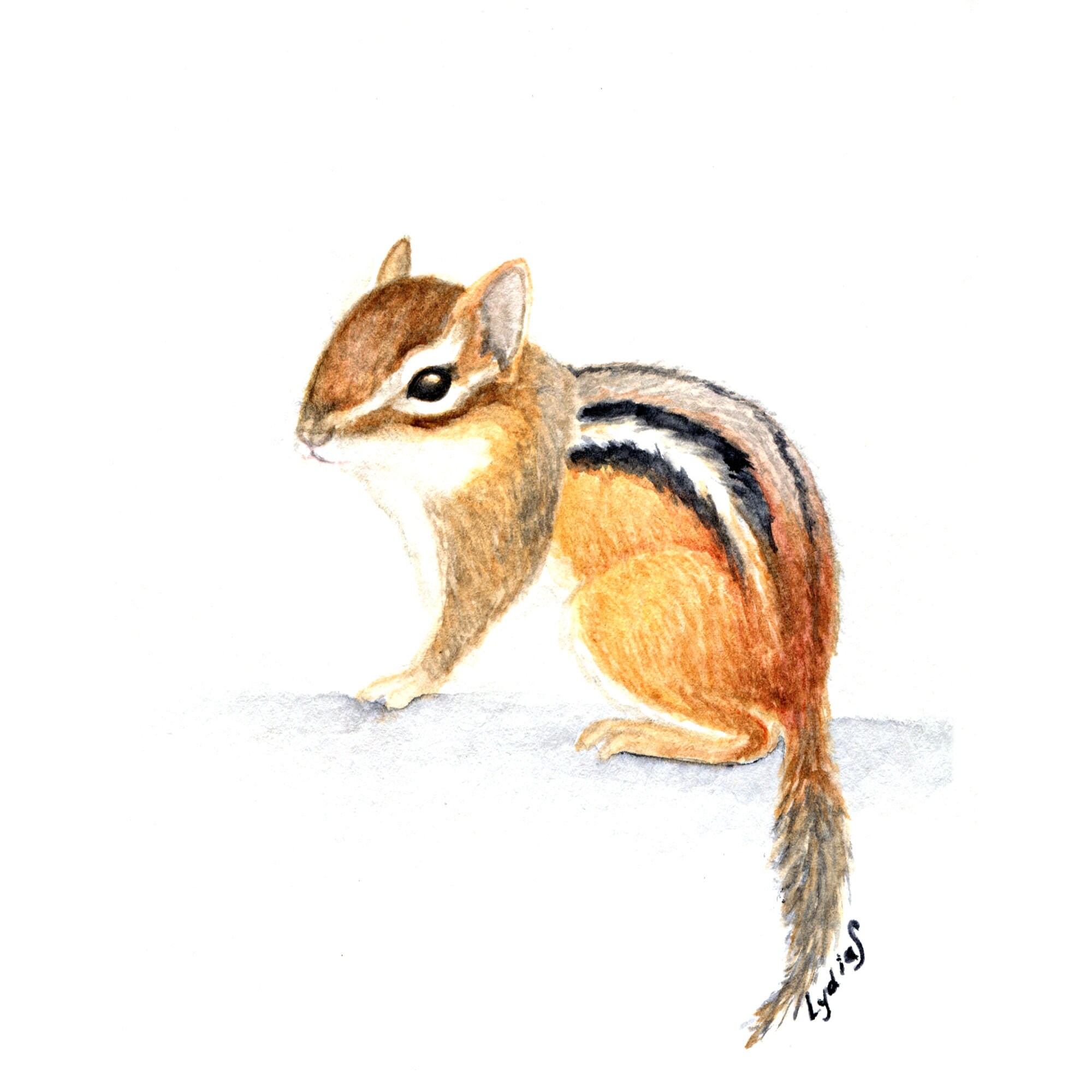 Chipmunk Watercolor Print Home Decor Wall Art Animal | Etsy