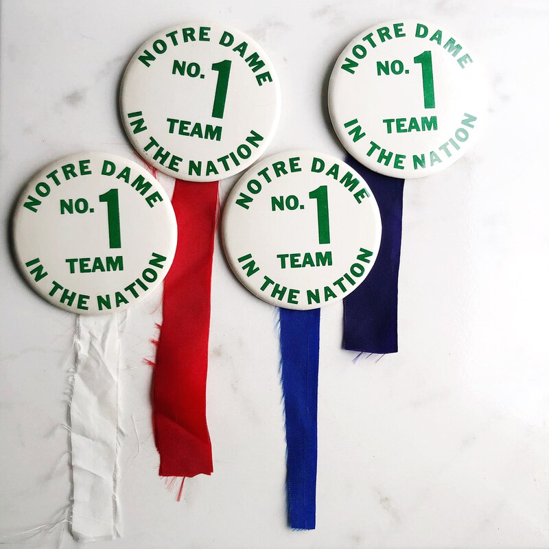 Notre Dame Pin - Etsy