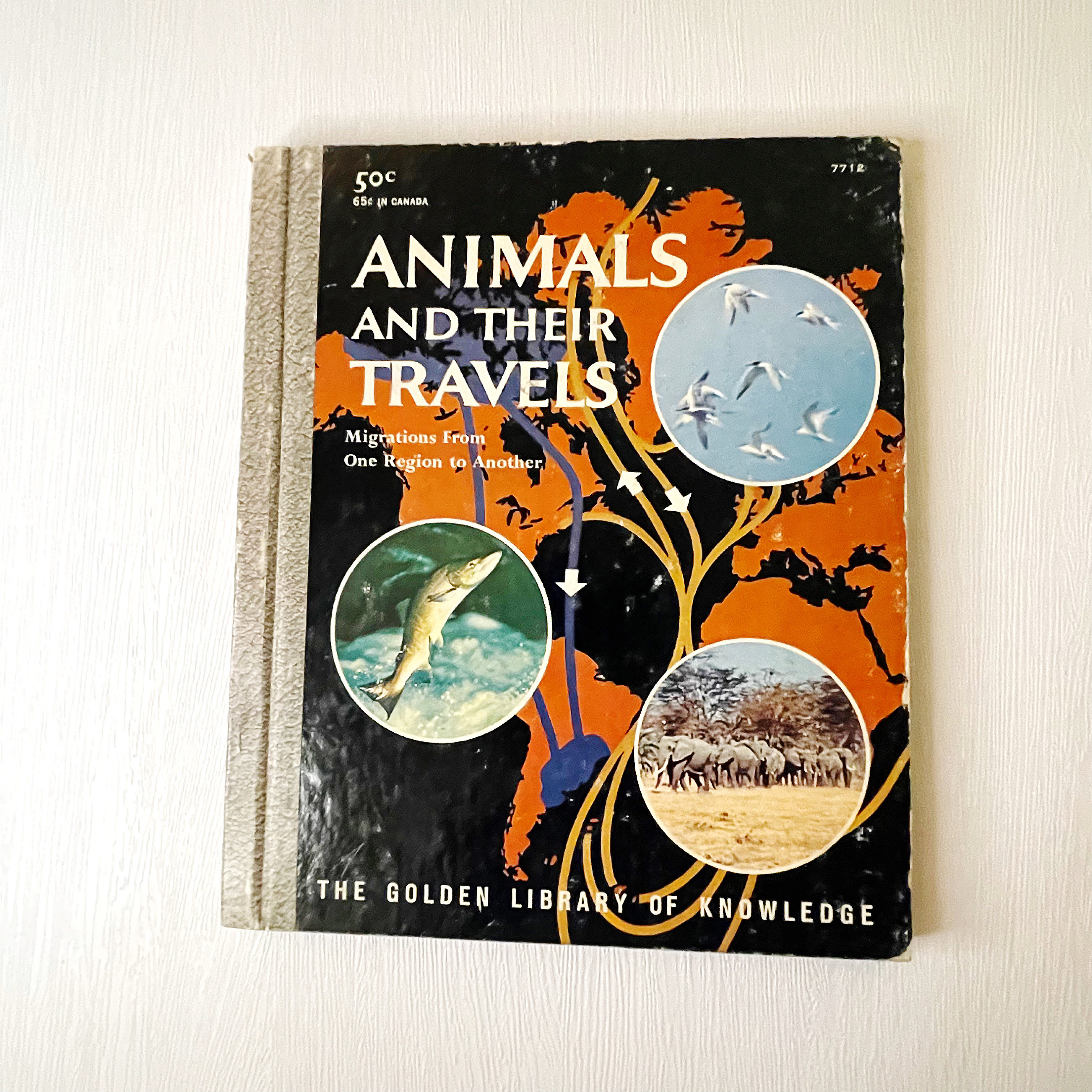Vintage A Little Golden Book Animals and Their Travels First Edition a ...