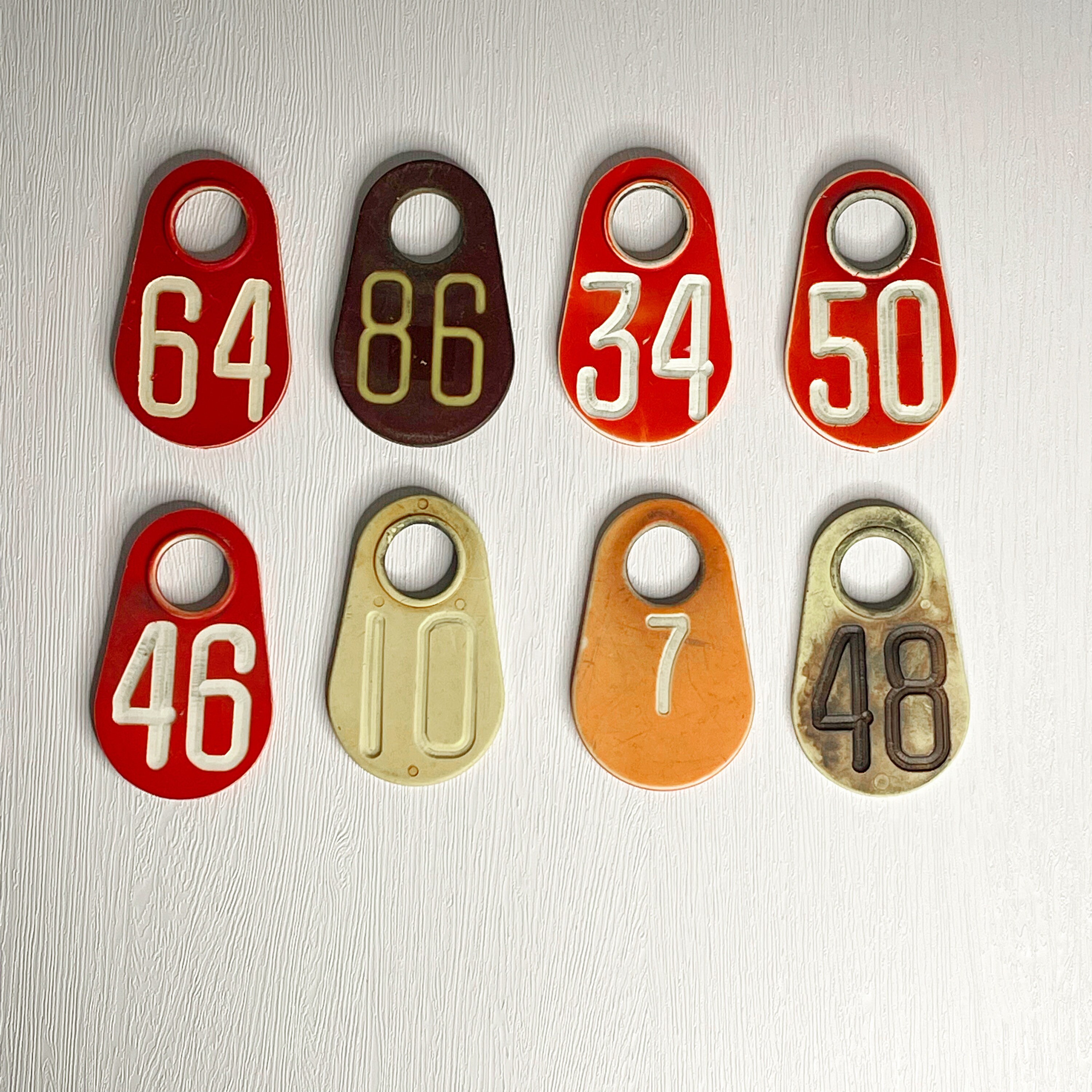 Vintage Plastic Cow Tags | 1960s-1970s - Etsy