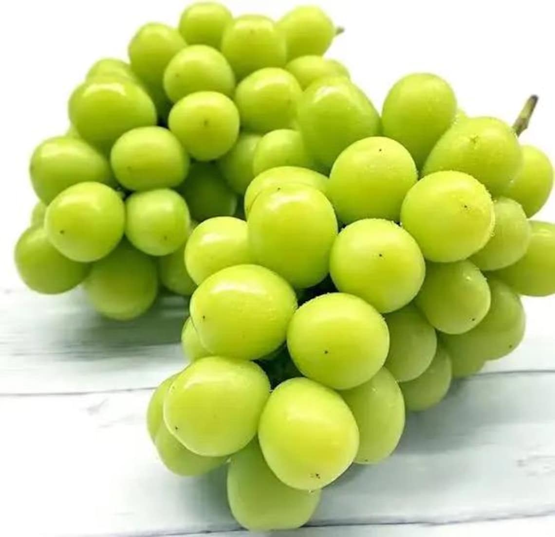 Grafted "shine Muscat" Grape Vine Tree 阳光玫瑰葡萄树苗 Premium Seedless Green ...