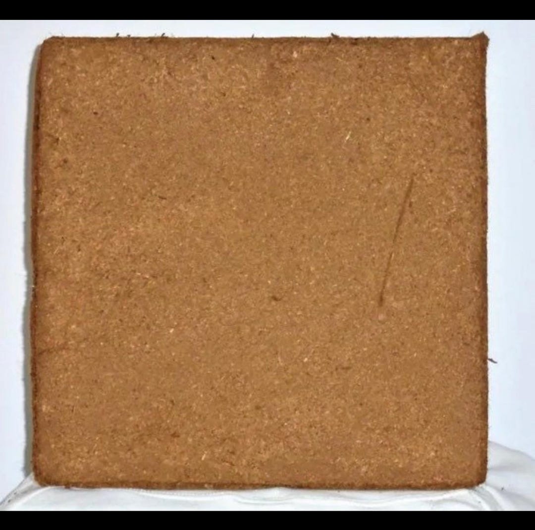 Best Coco Peat - 5kg/11 Lbs Block | 100% Organic | Expands Approx 15 ...